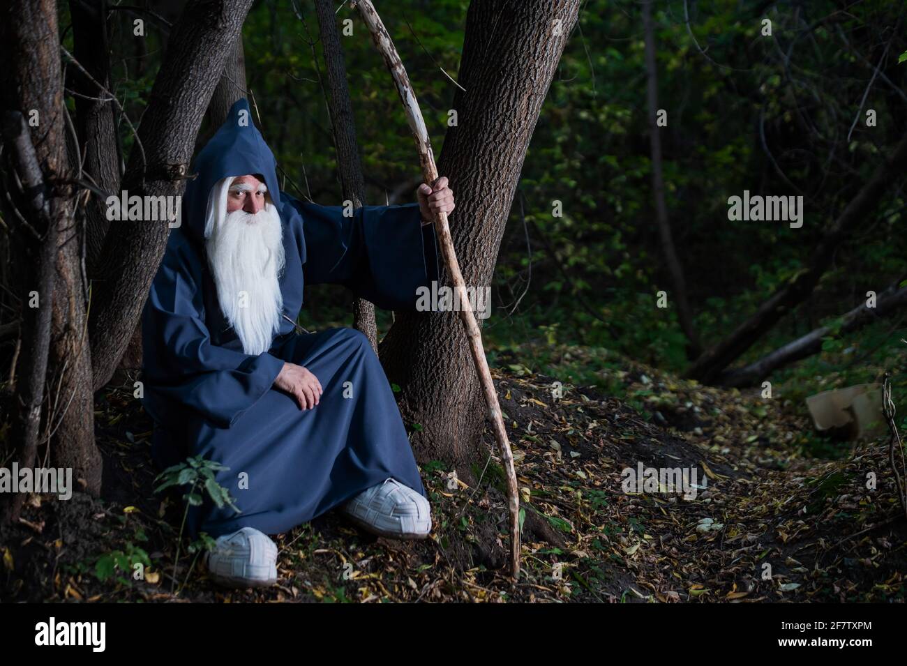 A wizard with a long gray beard and a cloak in a deep forest. An ...