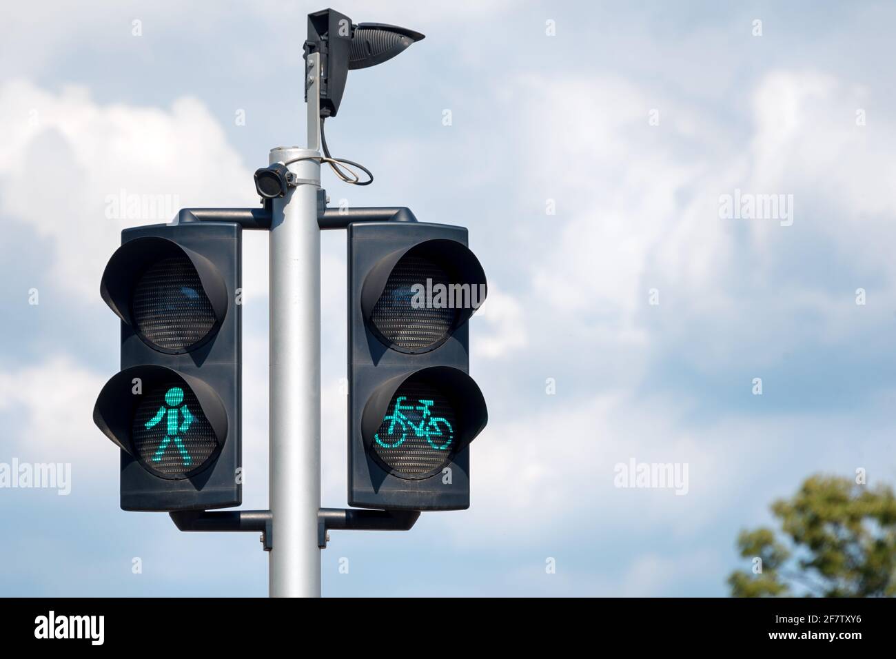 Green bicycle and pedestrian traffic lights. Green traffic light for ...