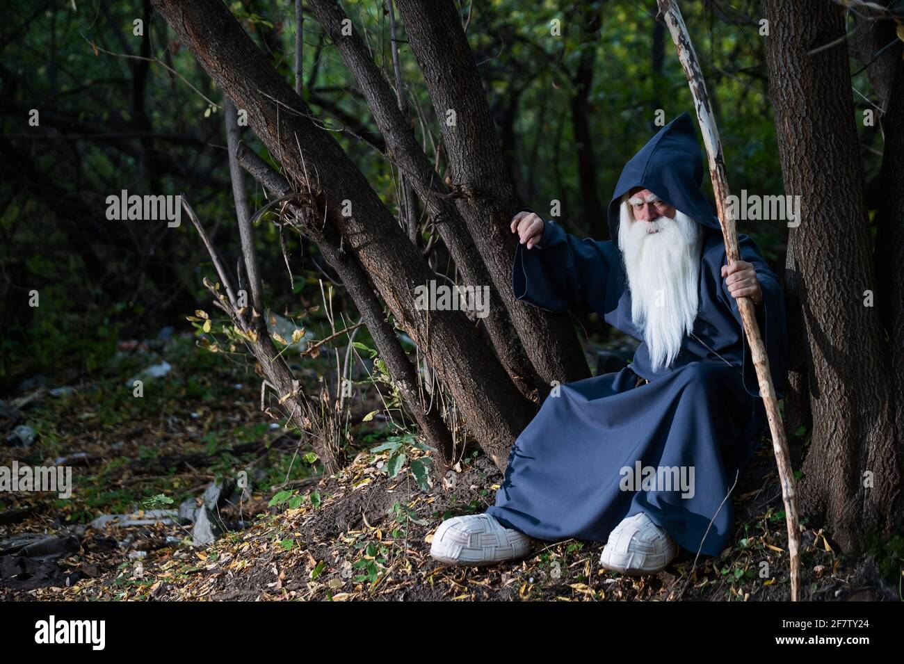 A wizard with a long gray beard and a cloak in a deep forest. An ...