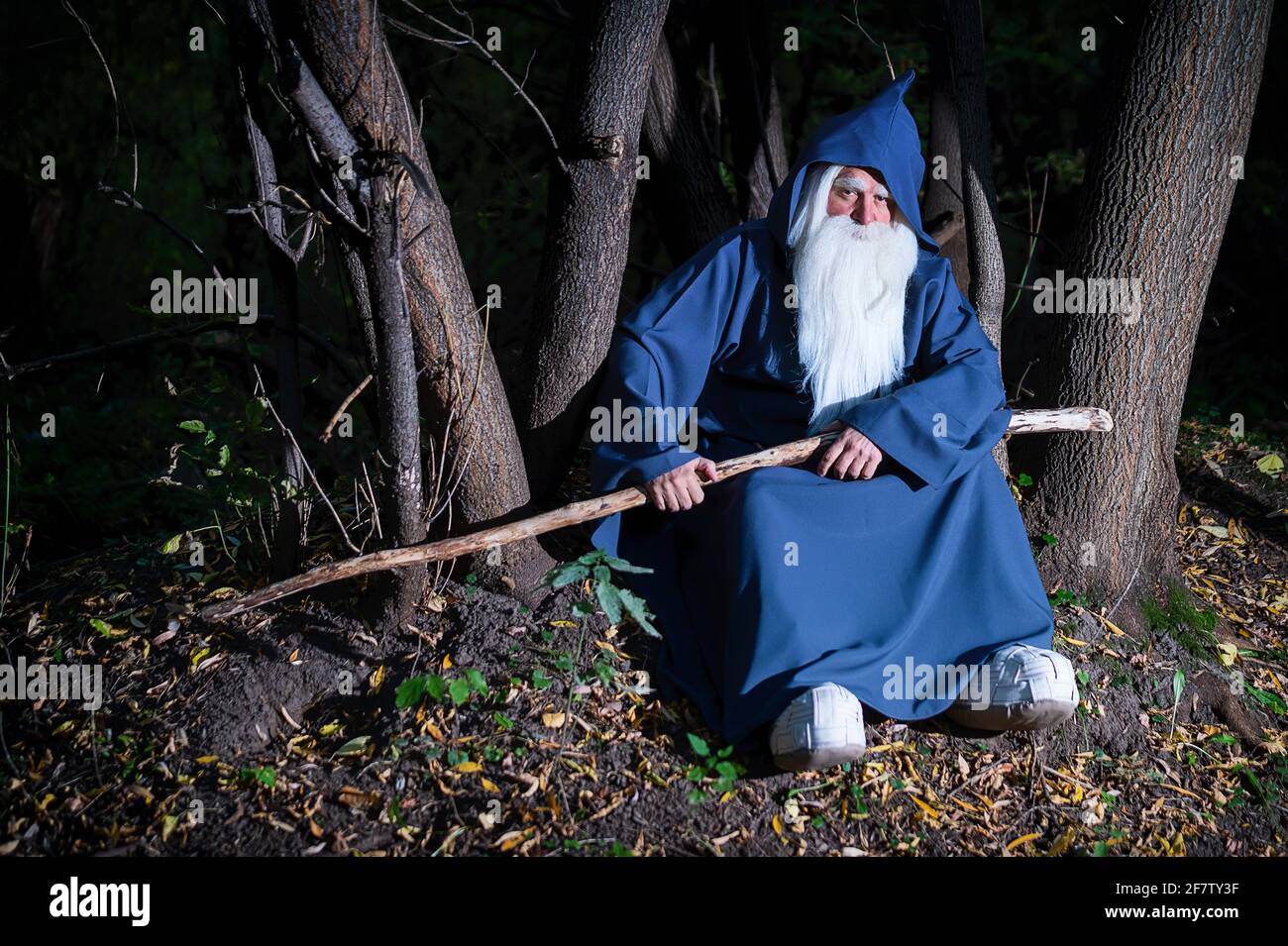 A wizard with a long gray beard and a cloak in a deep forest. An ...
