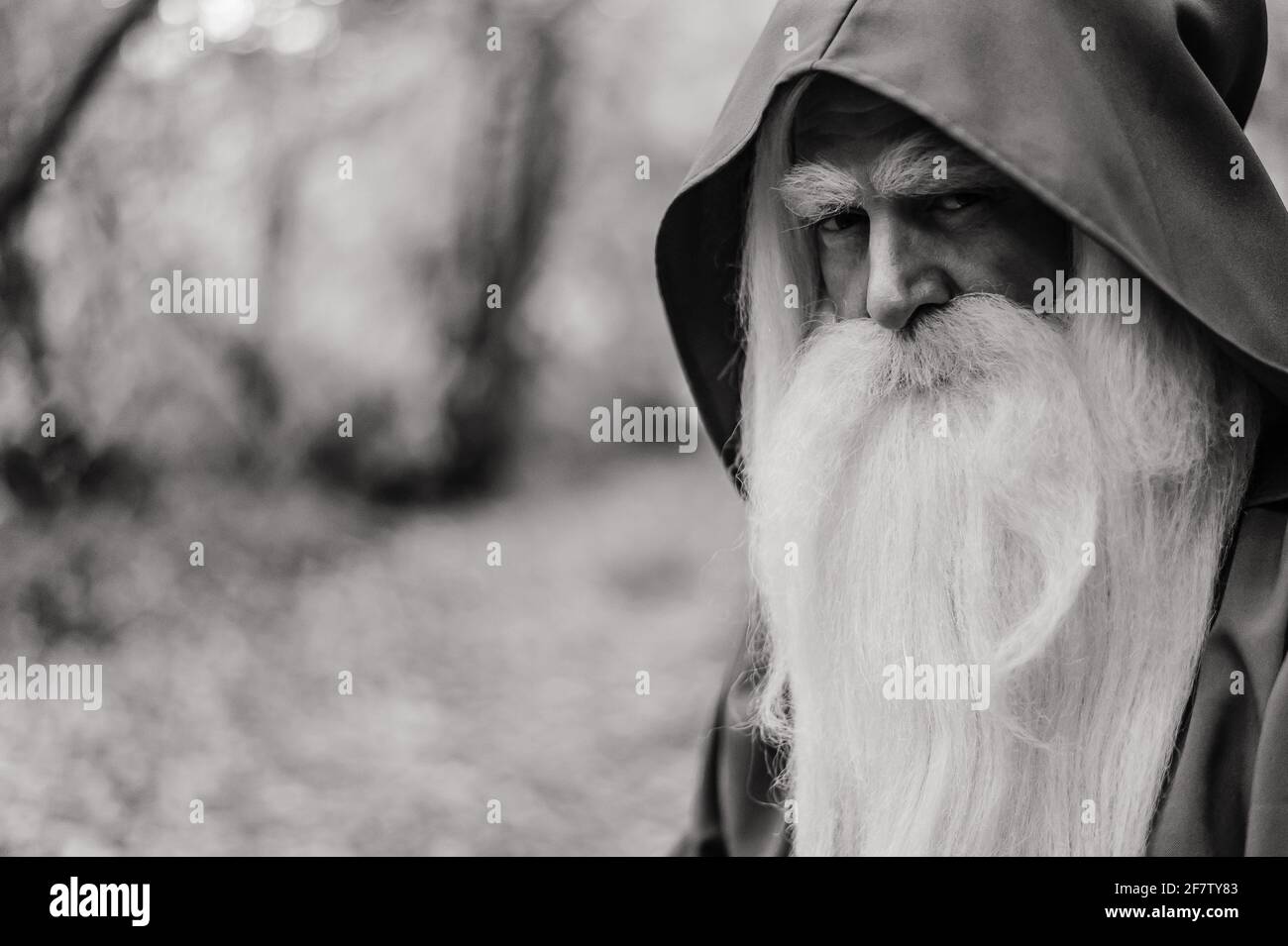 A wizard with a long gray beard and a cloak in a deep forest. An ...