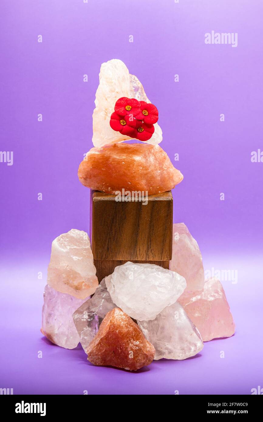 Large chunks of Himalayan sea salt and a red desert flower are stacked ...