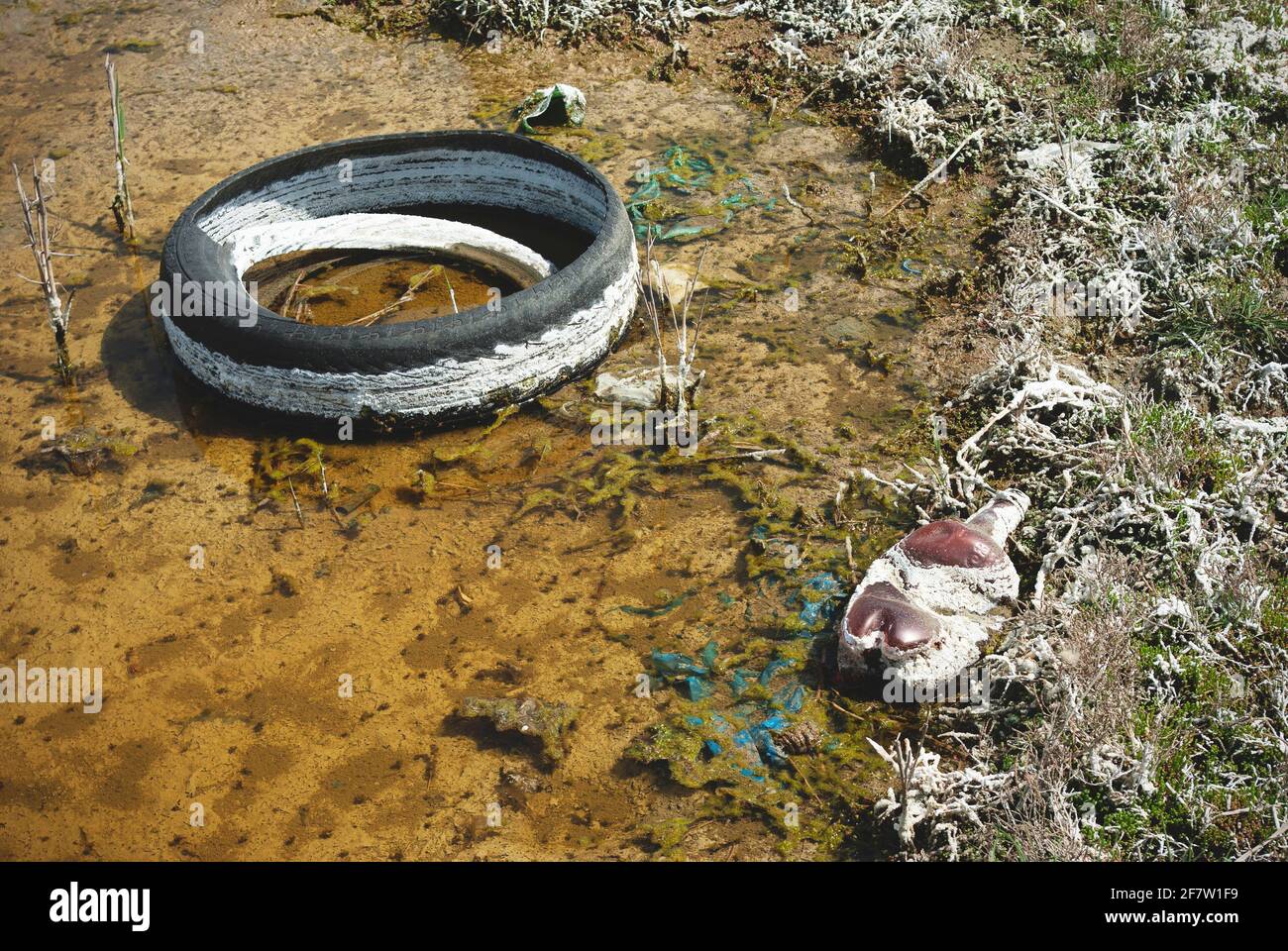 A thrown away tire in a puddle. A puddle polluted with chemicals and ...
