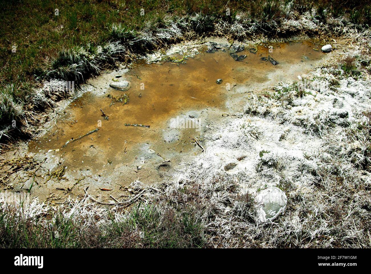 Dirty puddle with thrown away chemicals. Environmental pollution Stock ...