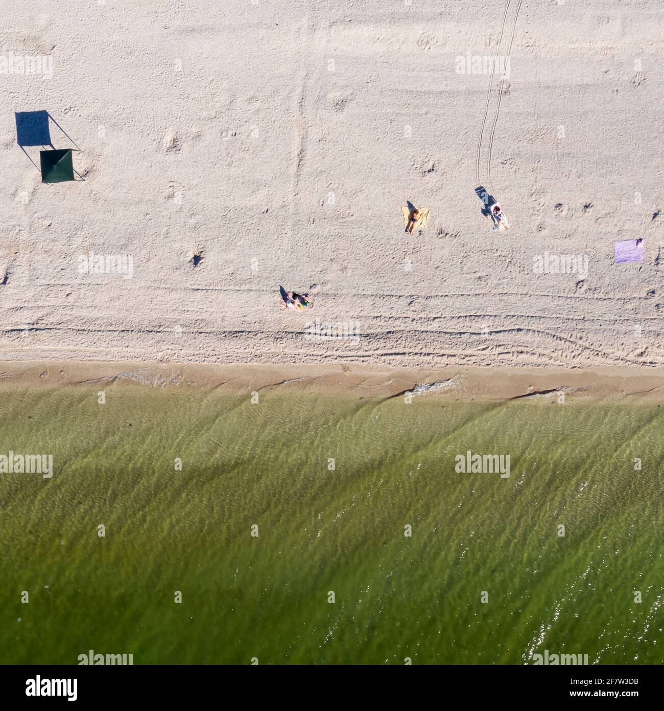 sandy beach on the seashore, view from above Stock Photo - Alamy