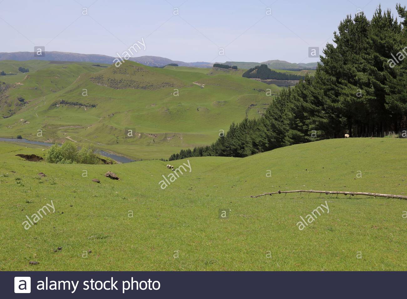 New Zealand Rangitikei Rangitikei River High Resolution Stock ...