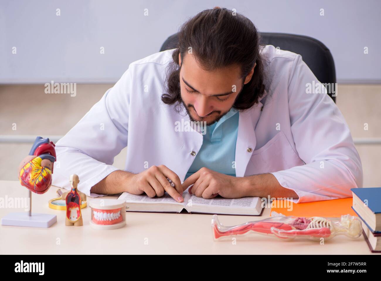 Young student studying human anatomy Stock Photo - Alamy