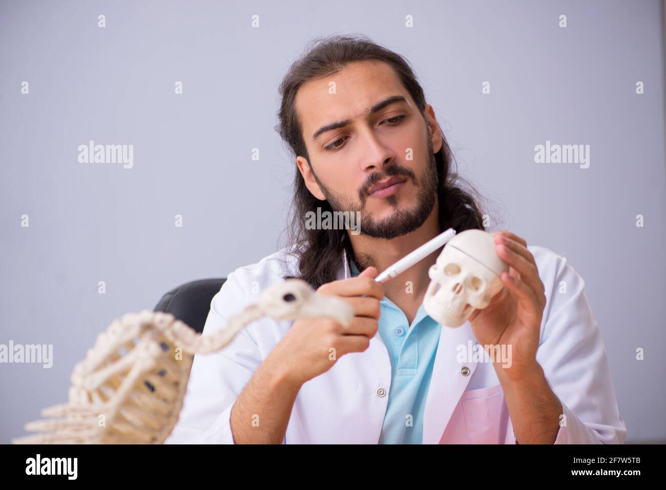 Young zoologist examining skeleton in the lab Stock Photo - Alamy