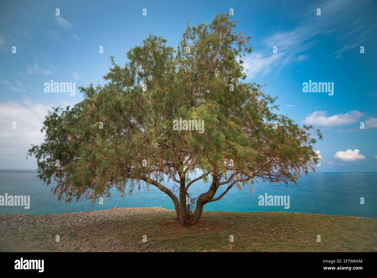 Views of traditional greek village of Milatos, Crete, Greece Stock ...