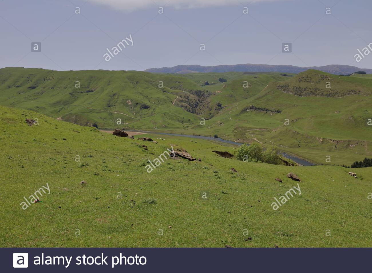 New Zealand Rangitikei Rangitikei River High Resolution Stock ...