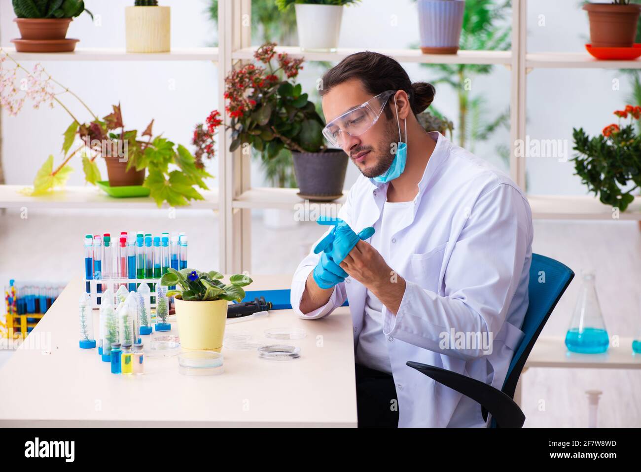 Perfumer laboratory hi-res stock photography and images - Alamy