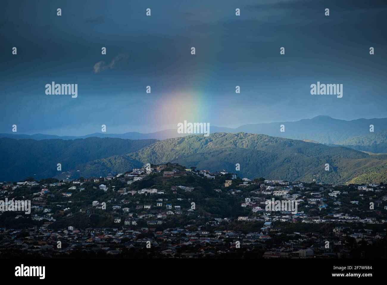 Miramar park new zealand hi-res stock photography and images - Alamy