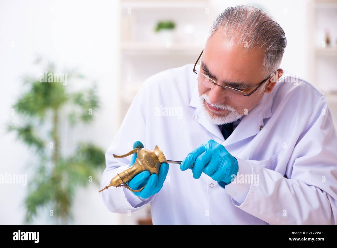 Old male archaeologist working in the lab Stock Photo - Alamy