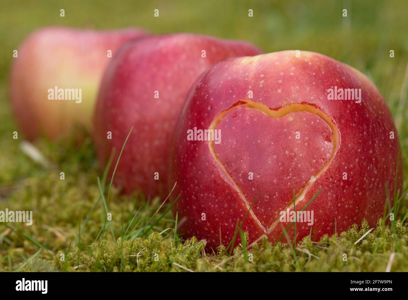 Love apple hi-res stock photography and images - Alamy