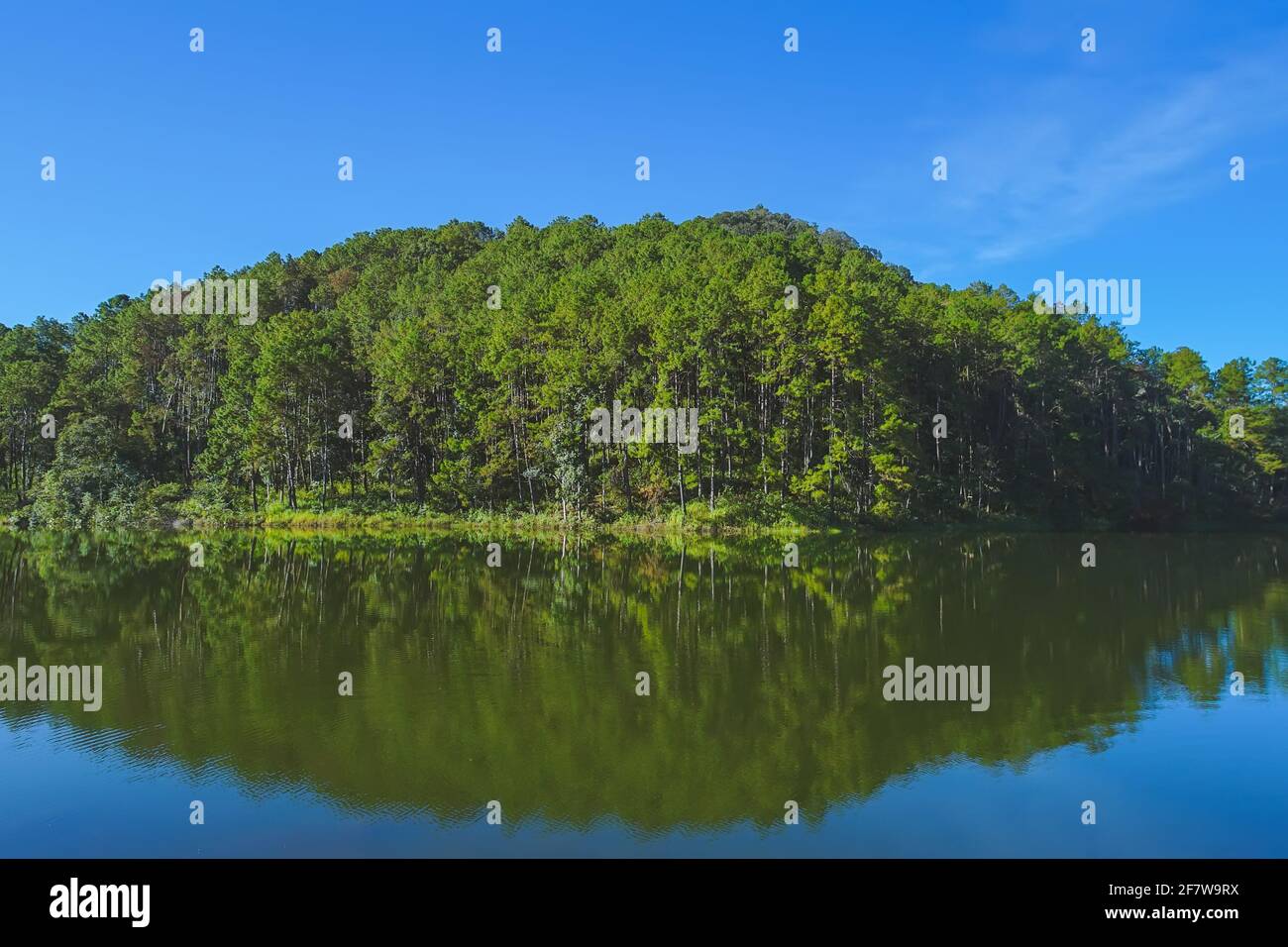 Good environment hi-res stock photography and images - Alamy