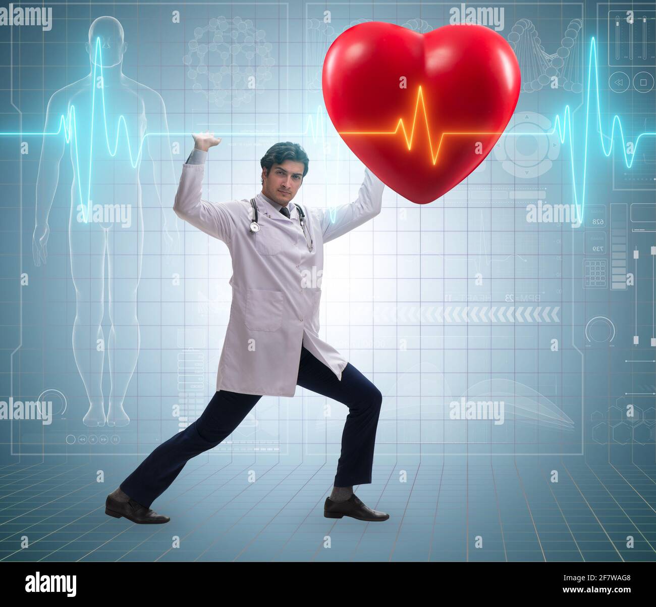 The doctor cardiologist supporting cardiogram heart line Stock Photo ...