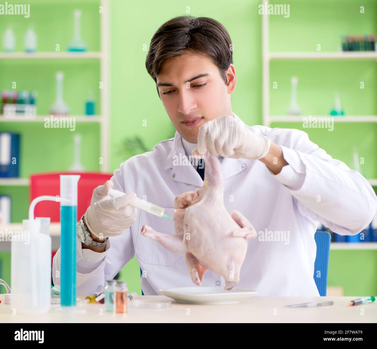 The lab assistant testing gmo chicken Stock Photo - Alamy
