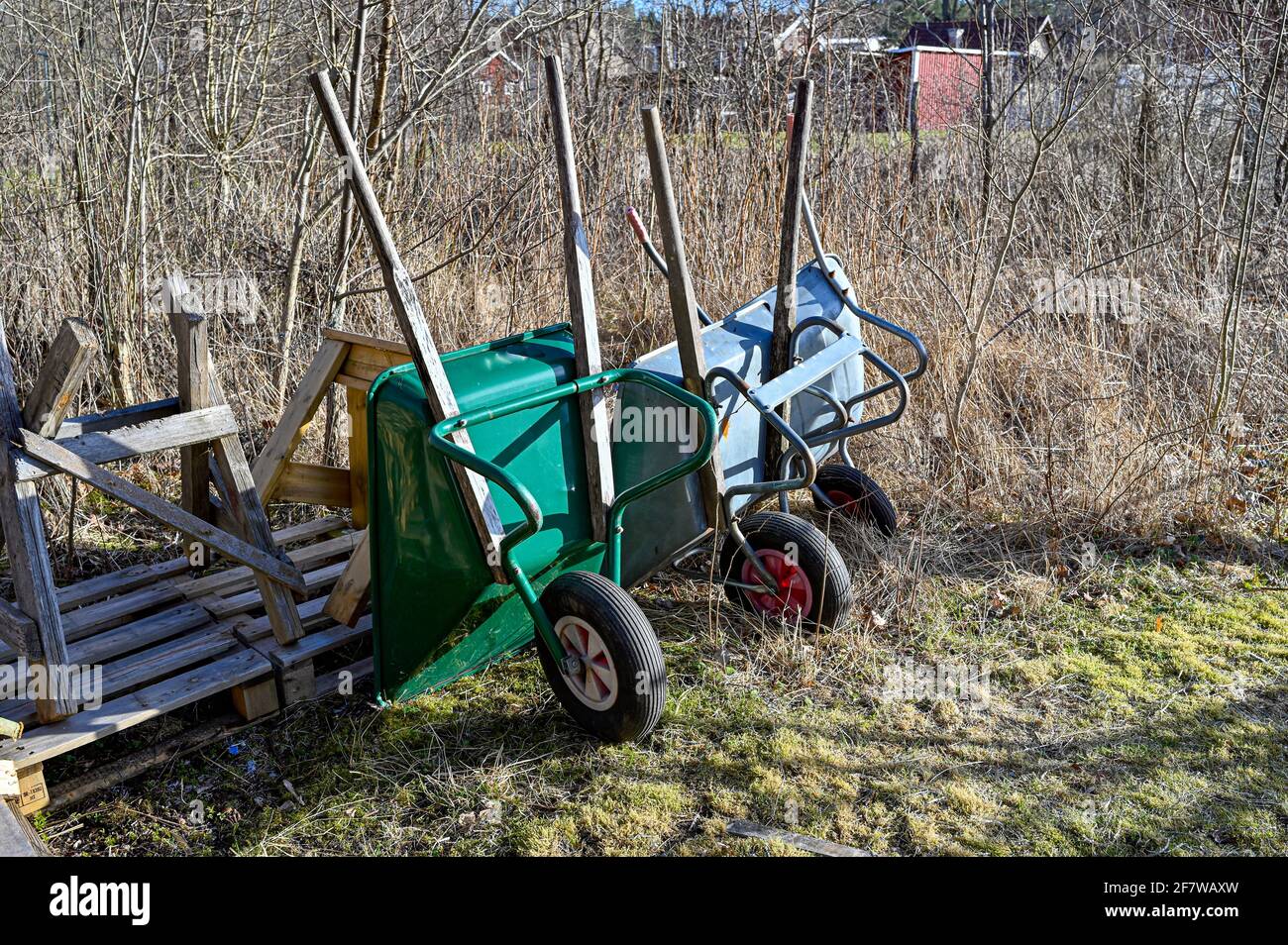 three wheelbarrows standing in a back garden Stock Photo - Alamy