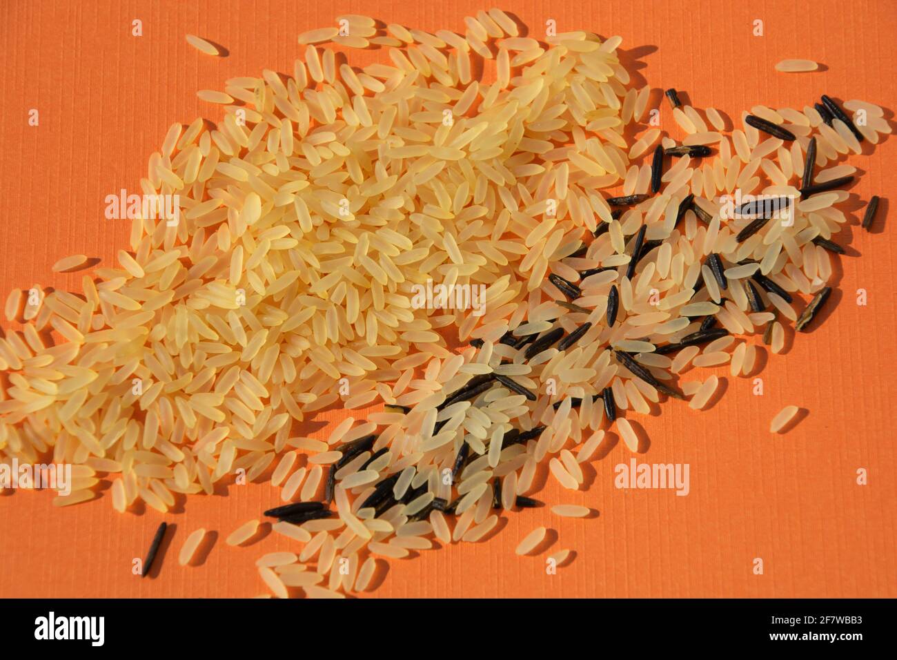 two varieties of rice in a row on colorful paper background Stock Photo ...