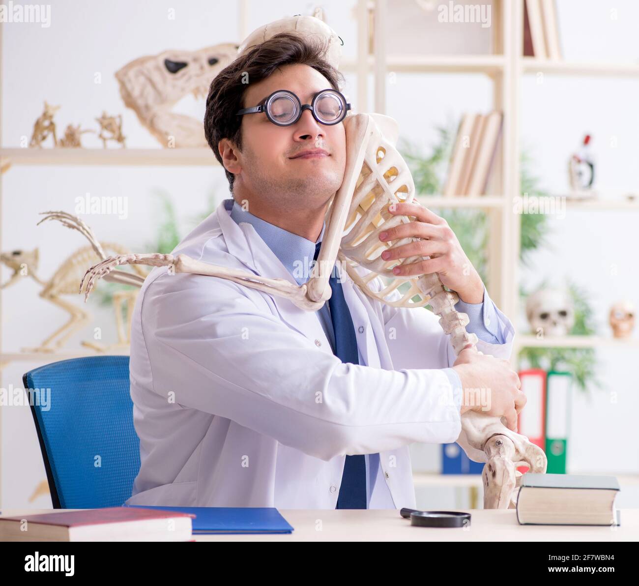 The crazy professor studying human skeleton Stock Photo - Alamy