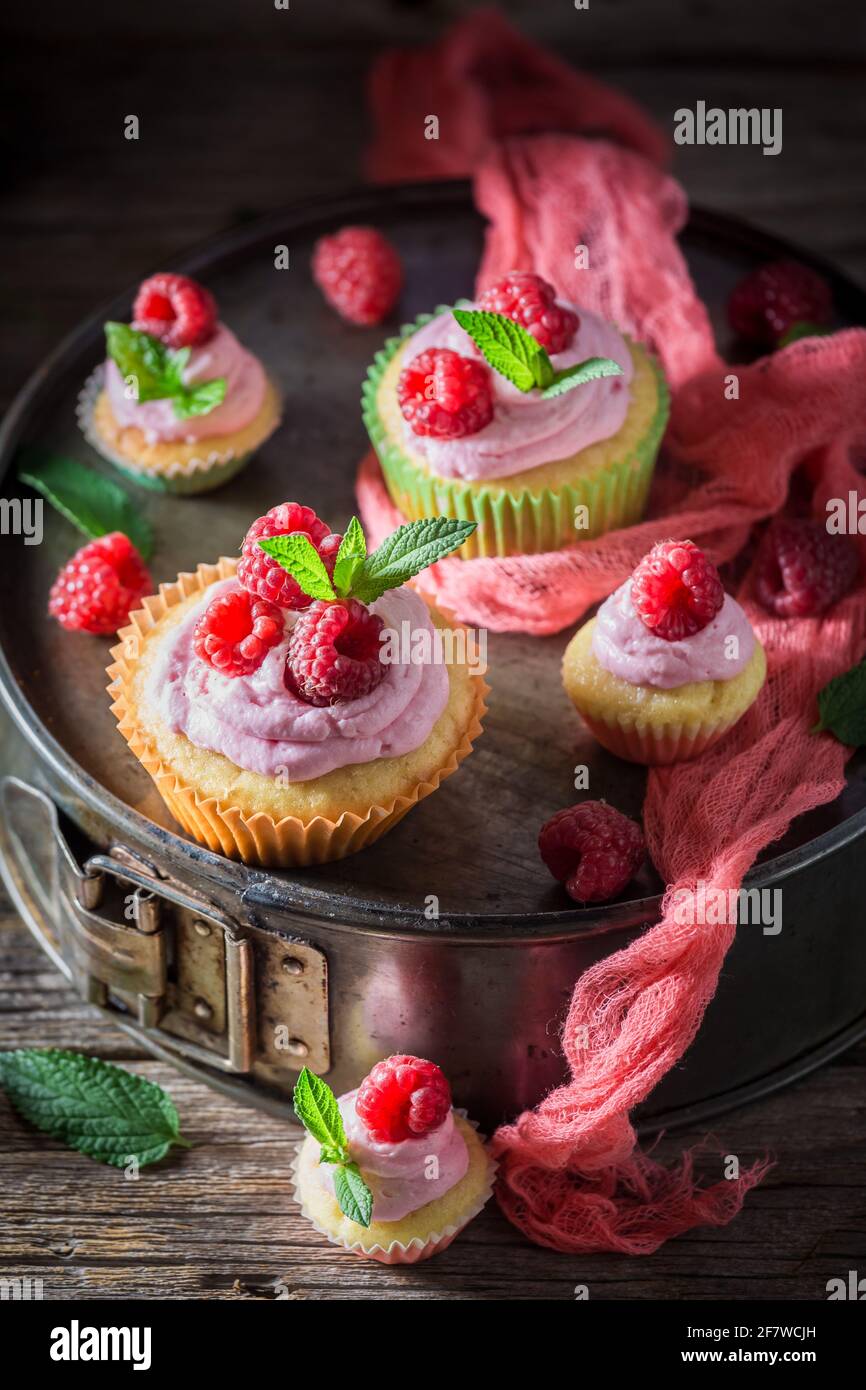 Pink muffin made of cream and fruits. Vanilla cupcake with fruit ...