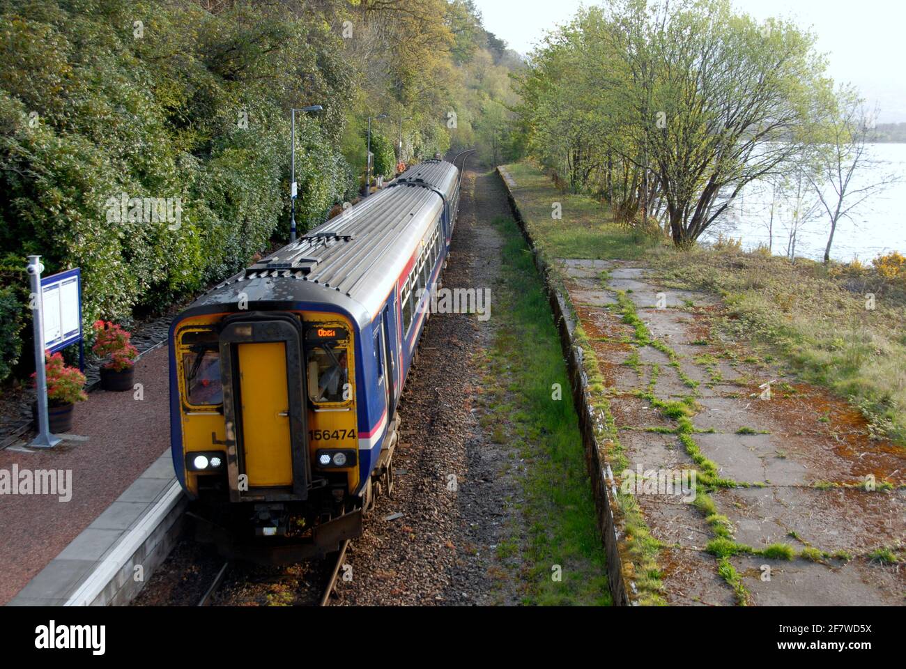 Scot Rail two-coach train at Loch Awe station, Argyll and Bute ...