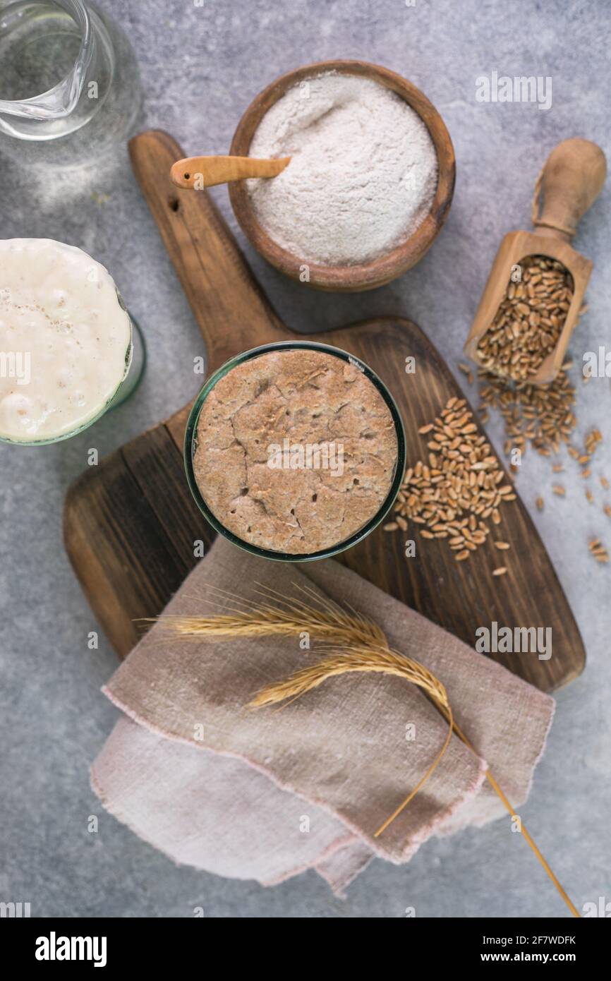 The rye and wheat leaven for bread is active. Starter sourdough ...