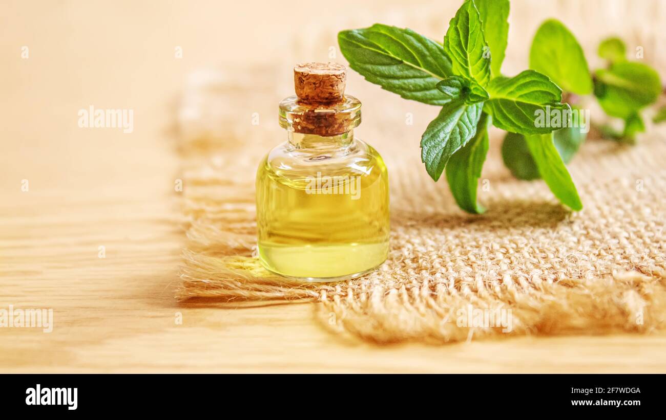 Nettle extract in small hi-res stock photography and images - Alamy