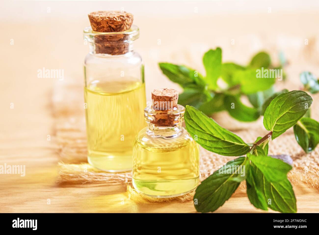 nettle extract in a small jar. Selective focus Stock Photo - Alamy