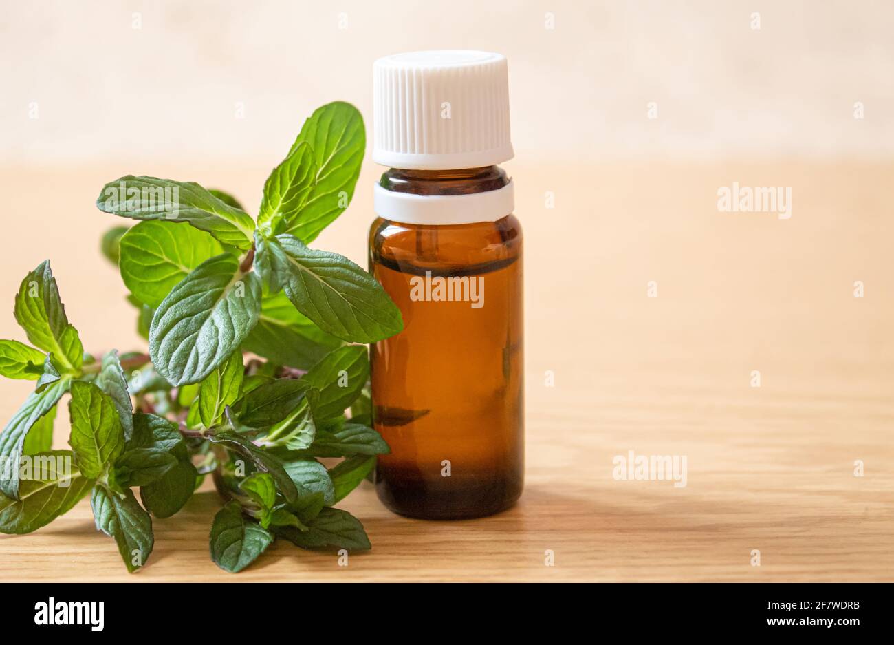 nettle extract in a small jar. Selective focus Stock Photo - Alamy