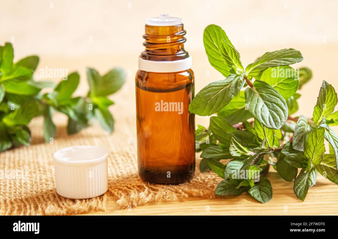 Wormwood extract in small bottle hi-res stock photography and images ...