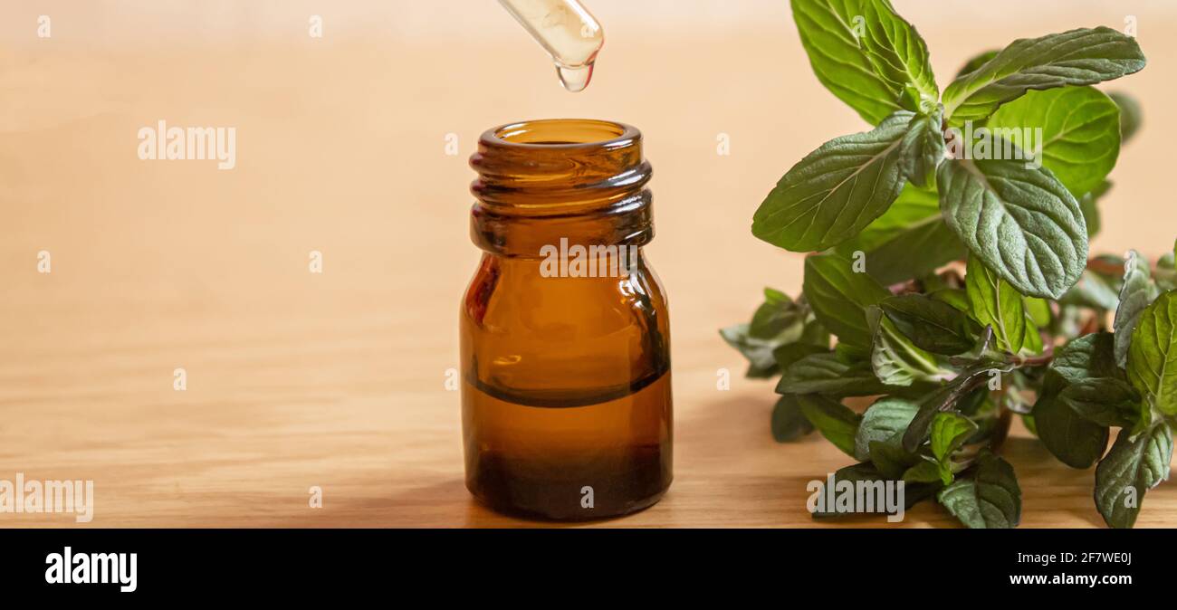 Nettle extract in bottle hi-res stock photography and images - Alamy