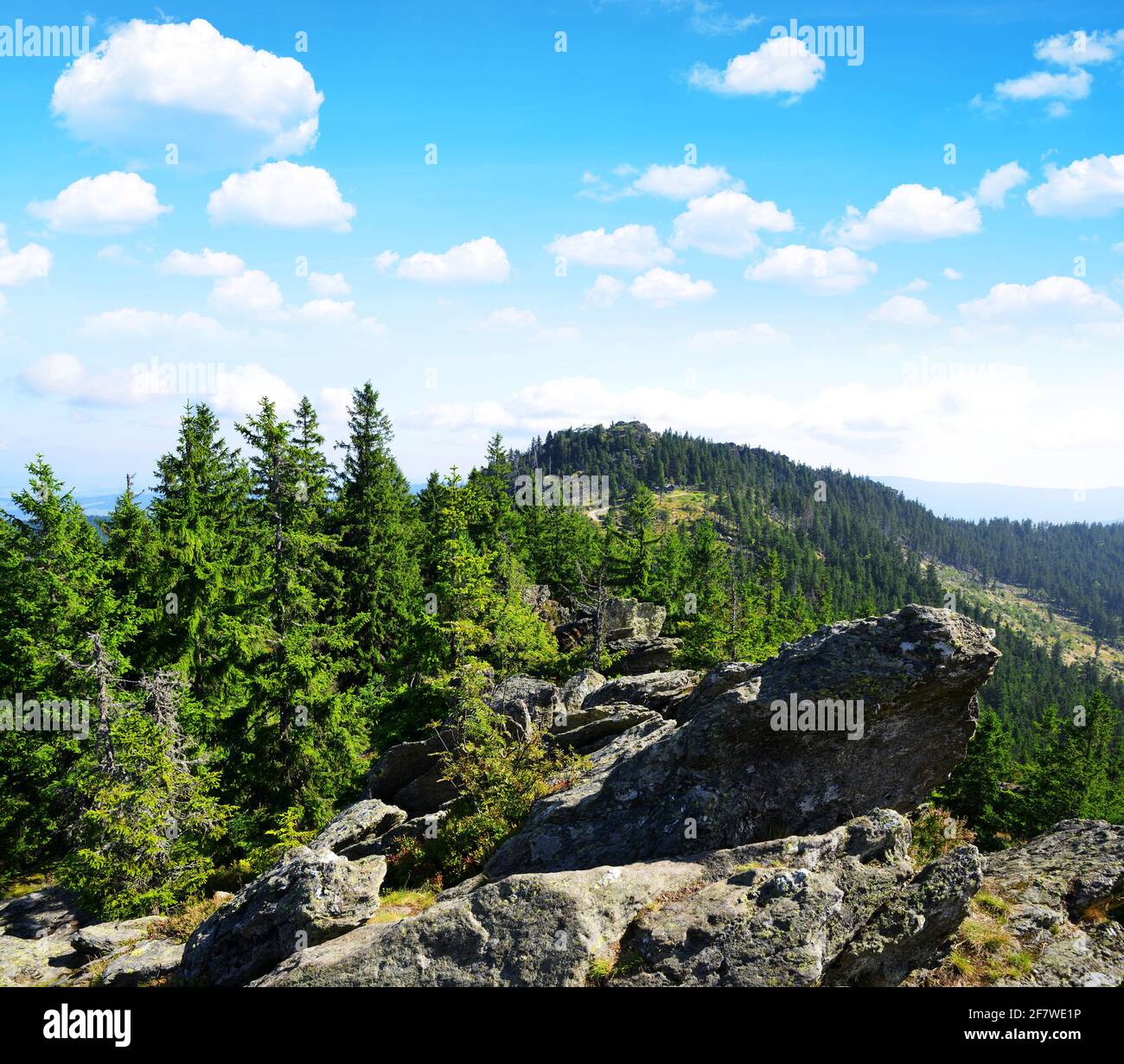 Nature park bavarian forest hi-res stock photography and images - Alamy