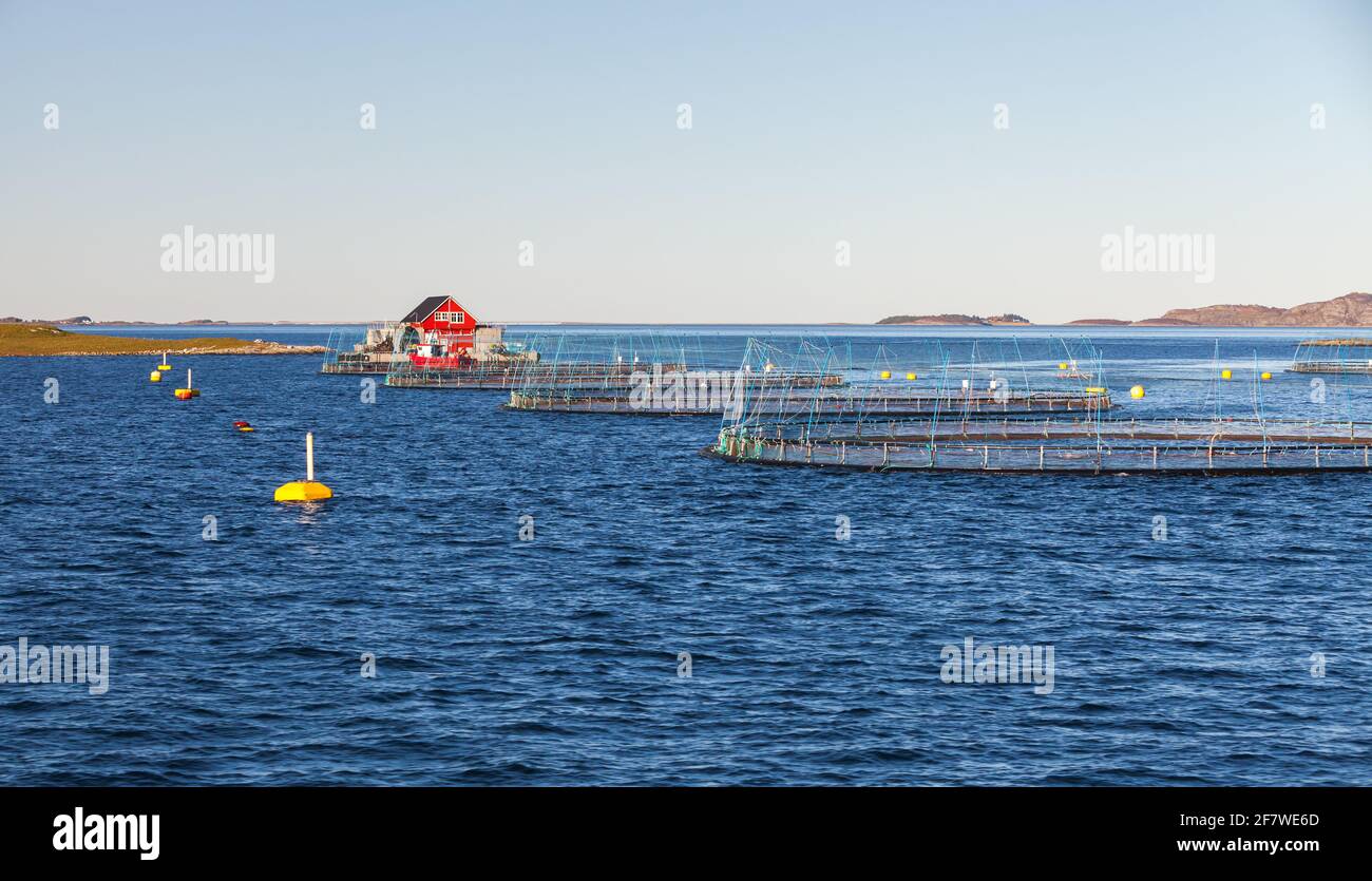 Norwegian fish farm for salmon growing in natural environment Stock ...