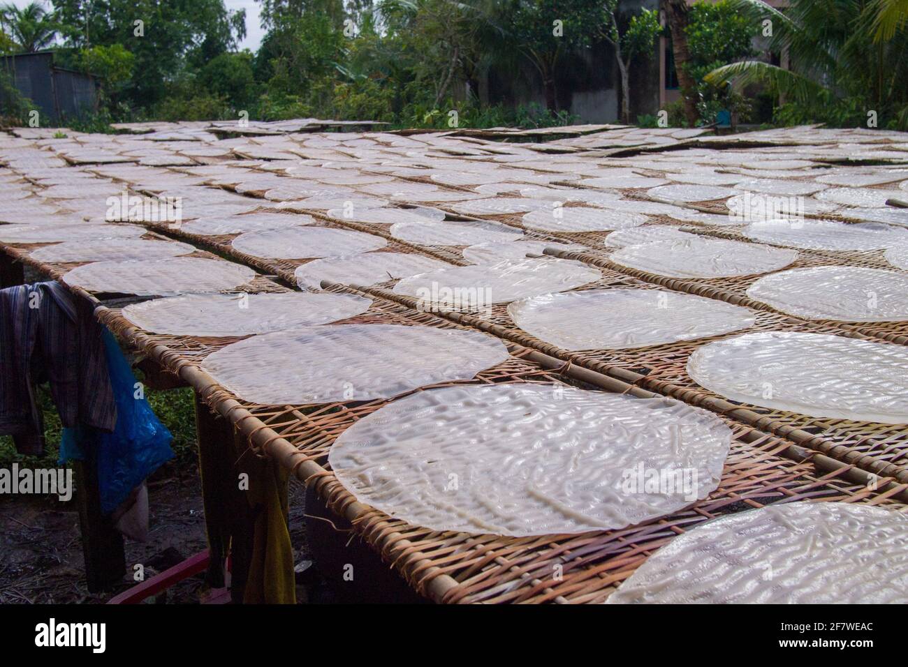 Rice paper farm near Saigon Vietnam Stock Photo - Alamy