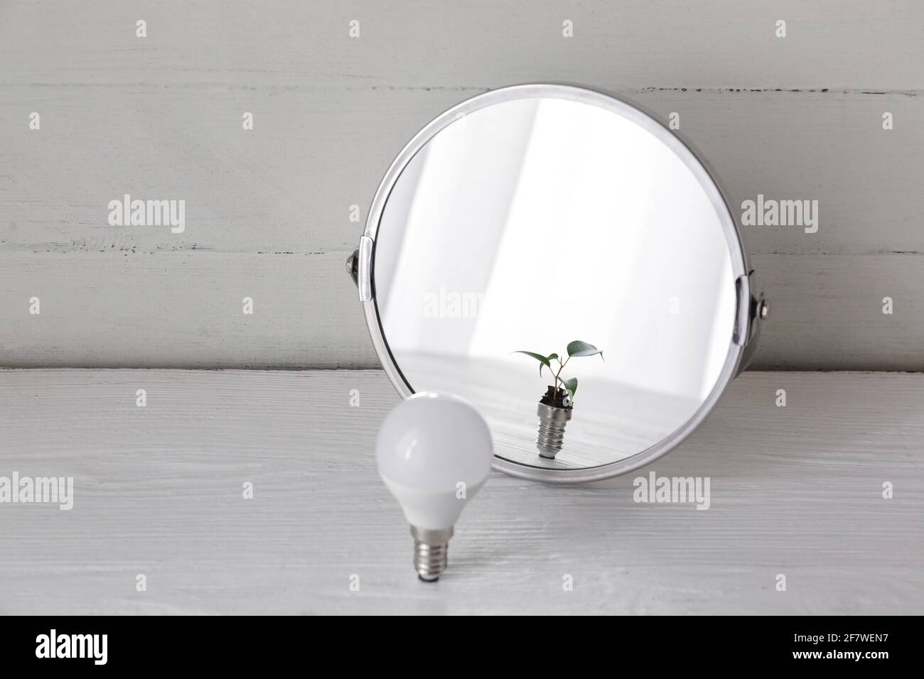 Light bulb near mirror with reflection of plant on white wooden ...