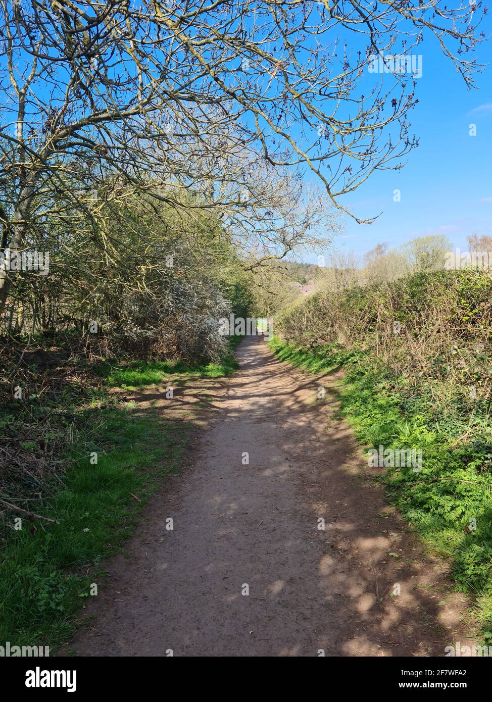 Tree overhanging a country path hi-res stock photography and images - Alamy