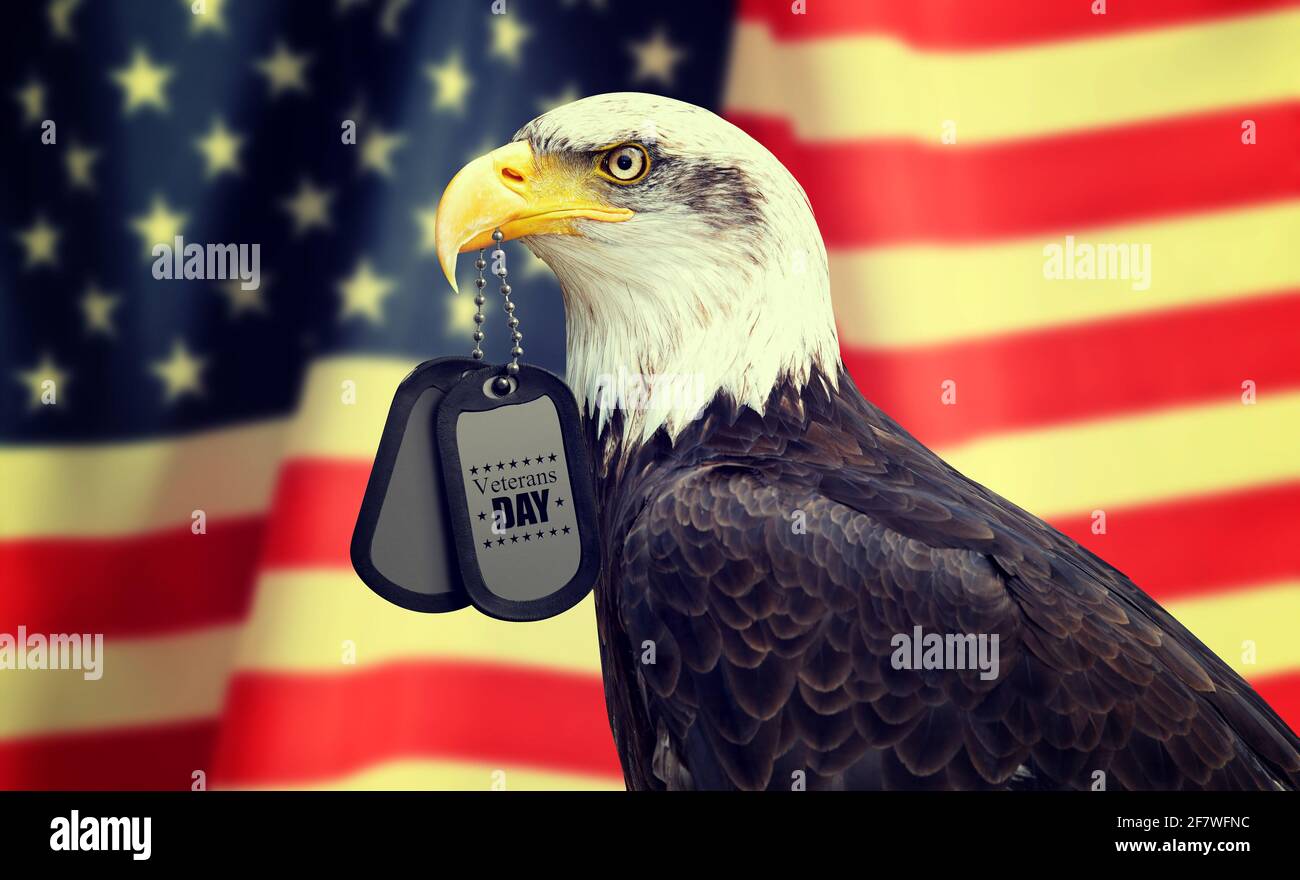 American eagle symbol badge hi-res stock photography and images - Alamy