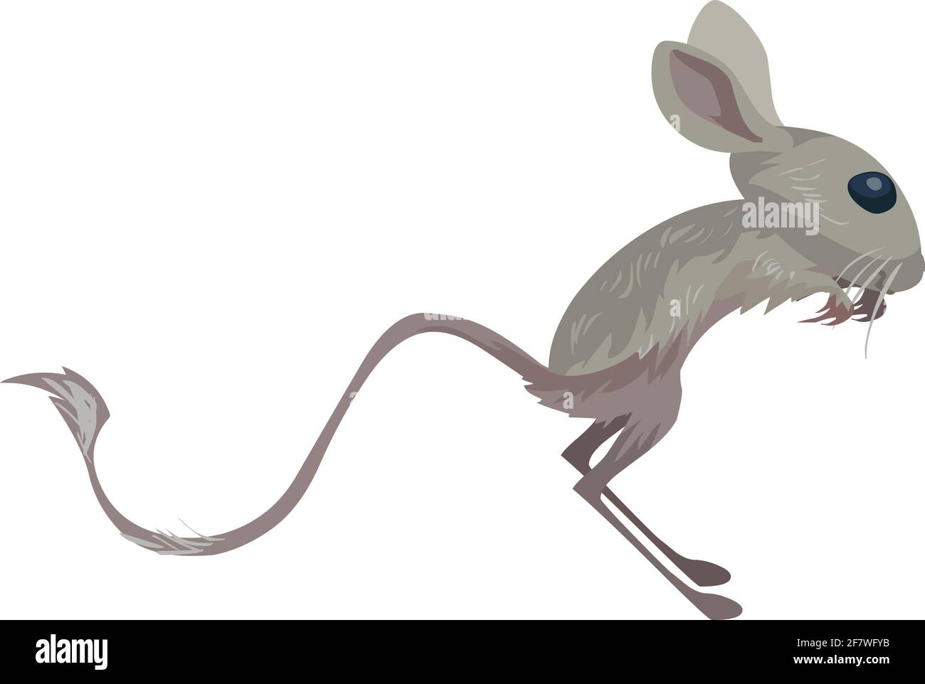 Jerboas cartoon illustration vector isolated on white background Stock ...