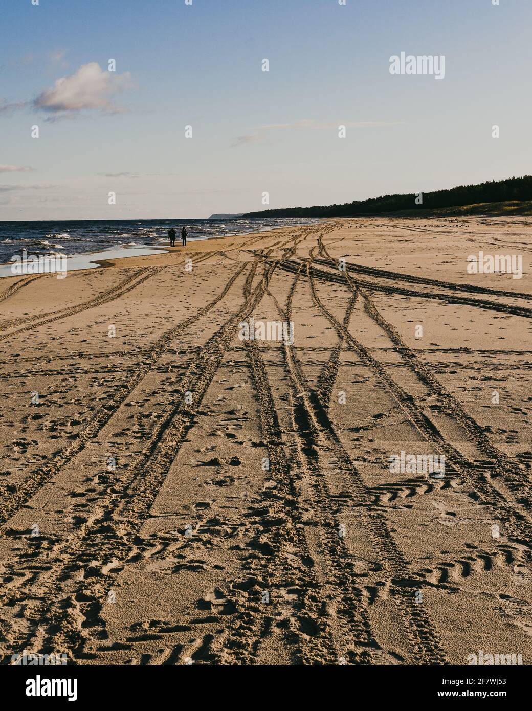 Vertical view of wheel trails on the sand at the seaside Stock Photo ...
