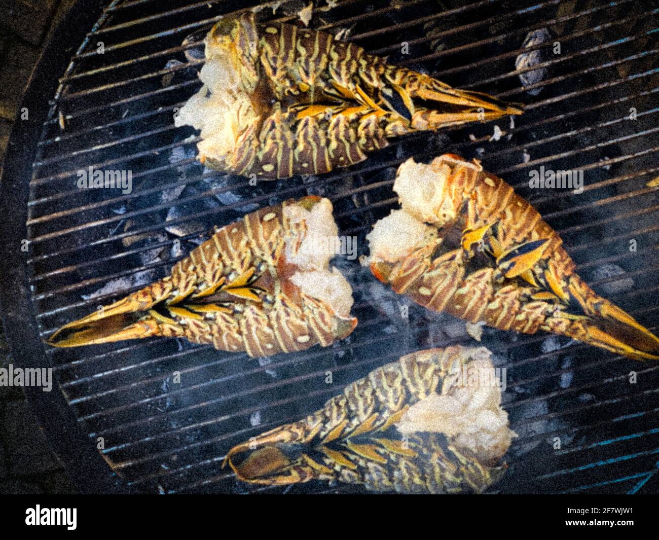 Spiny lobsters hi-res stock photography and images - Alamy