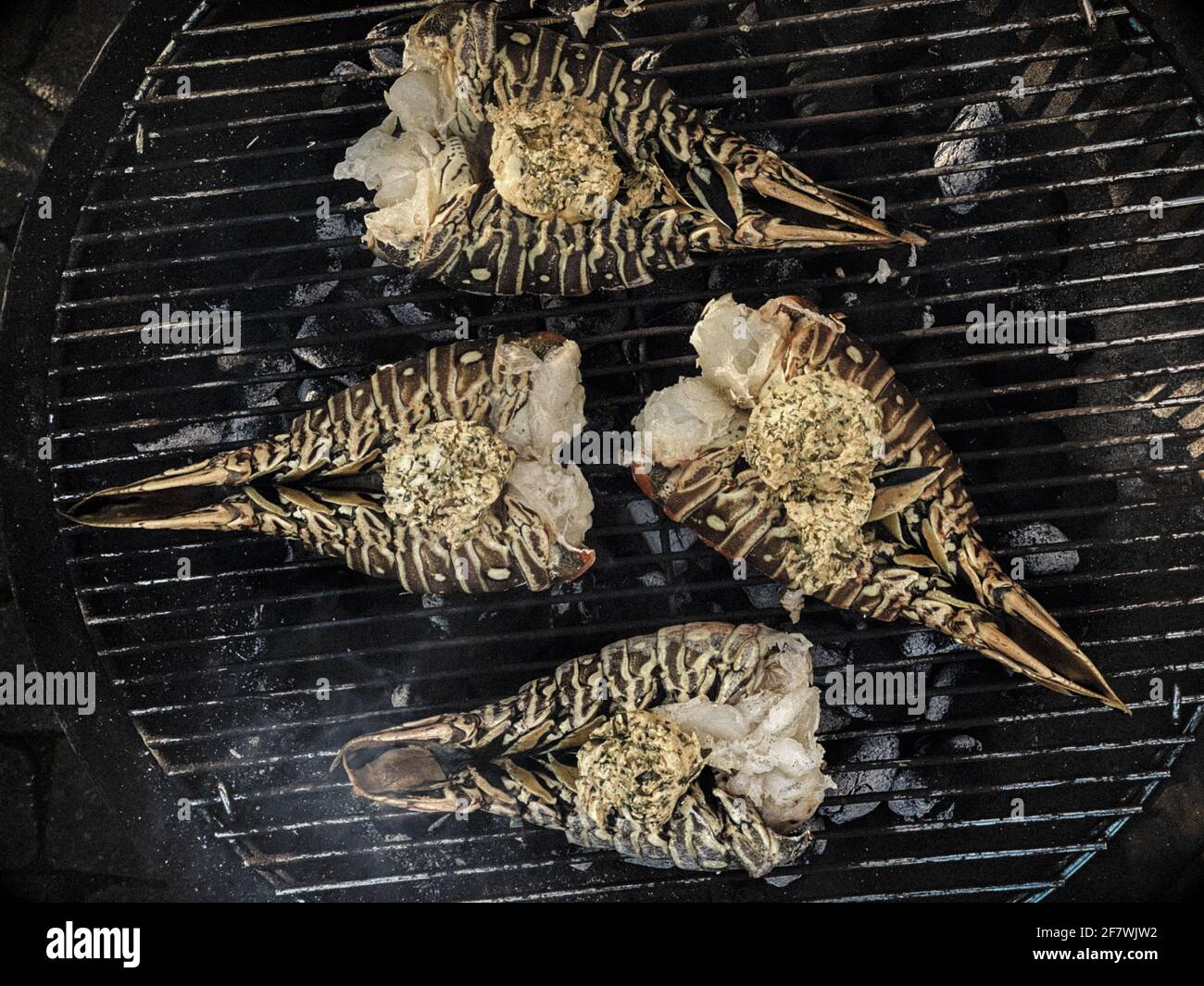 Spiny lobsters cooked and grilled on a barbecue grill in a garden Stock ...