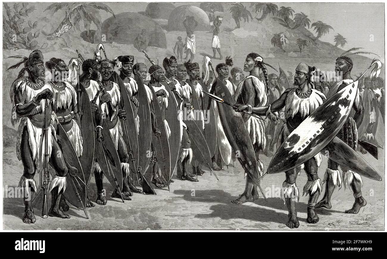 Engraving of a muster of Zulu warriors preparing for an attack from ...