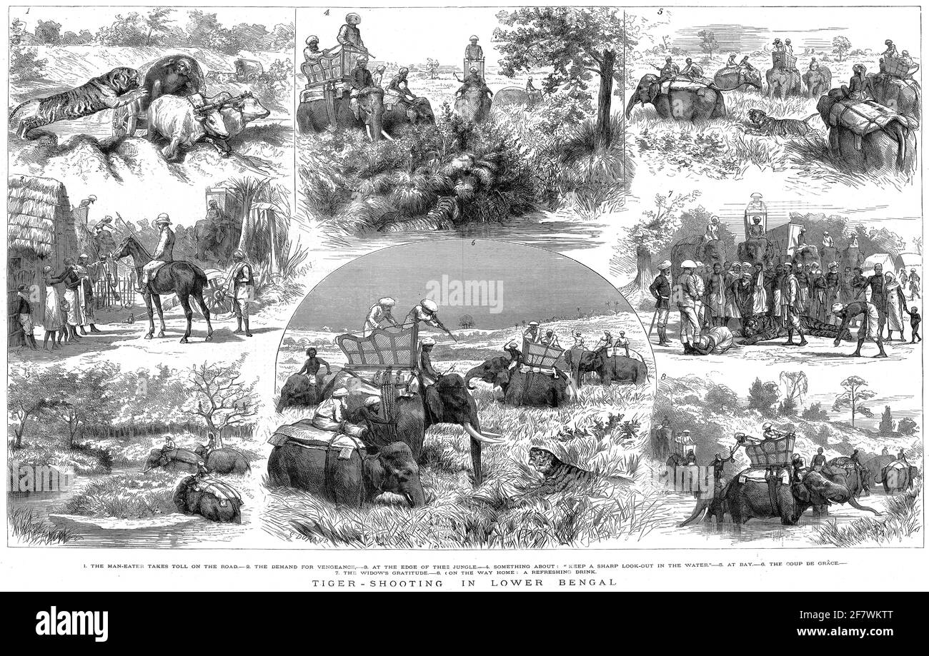 Engraving of several scenes from a tiger shooting expedition in lower ...