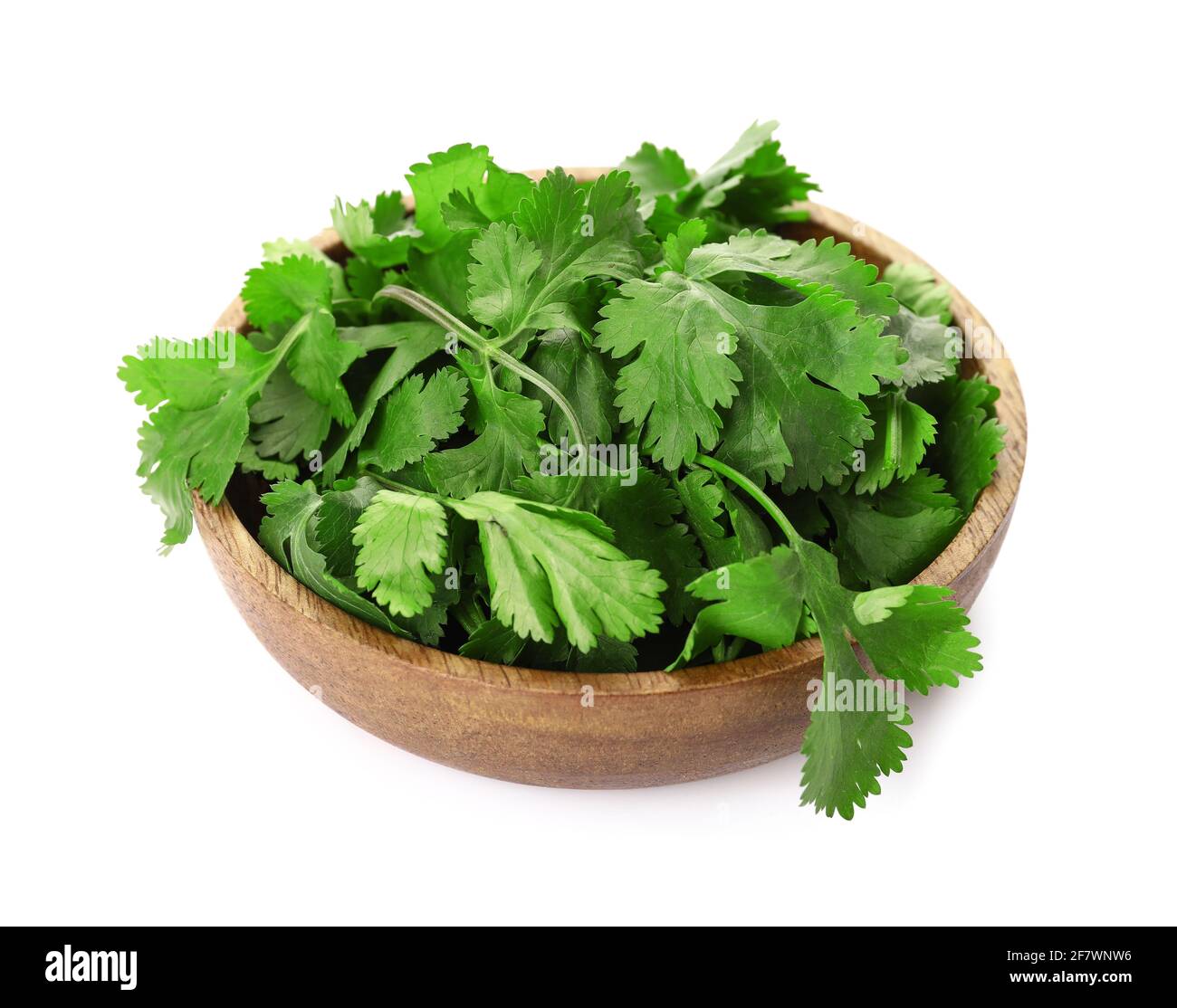 Bowl with fresh cilantro on white background Stock Photo - Alamy