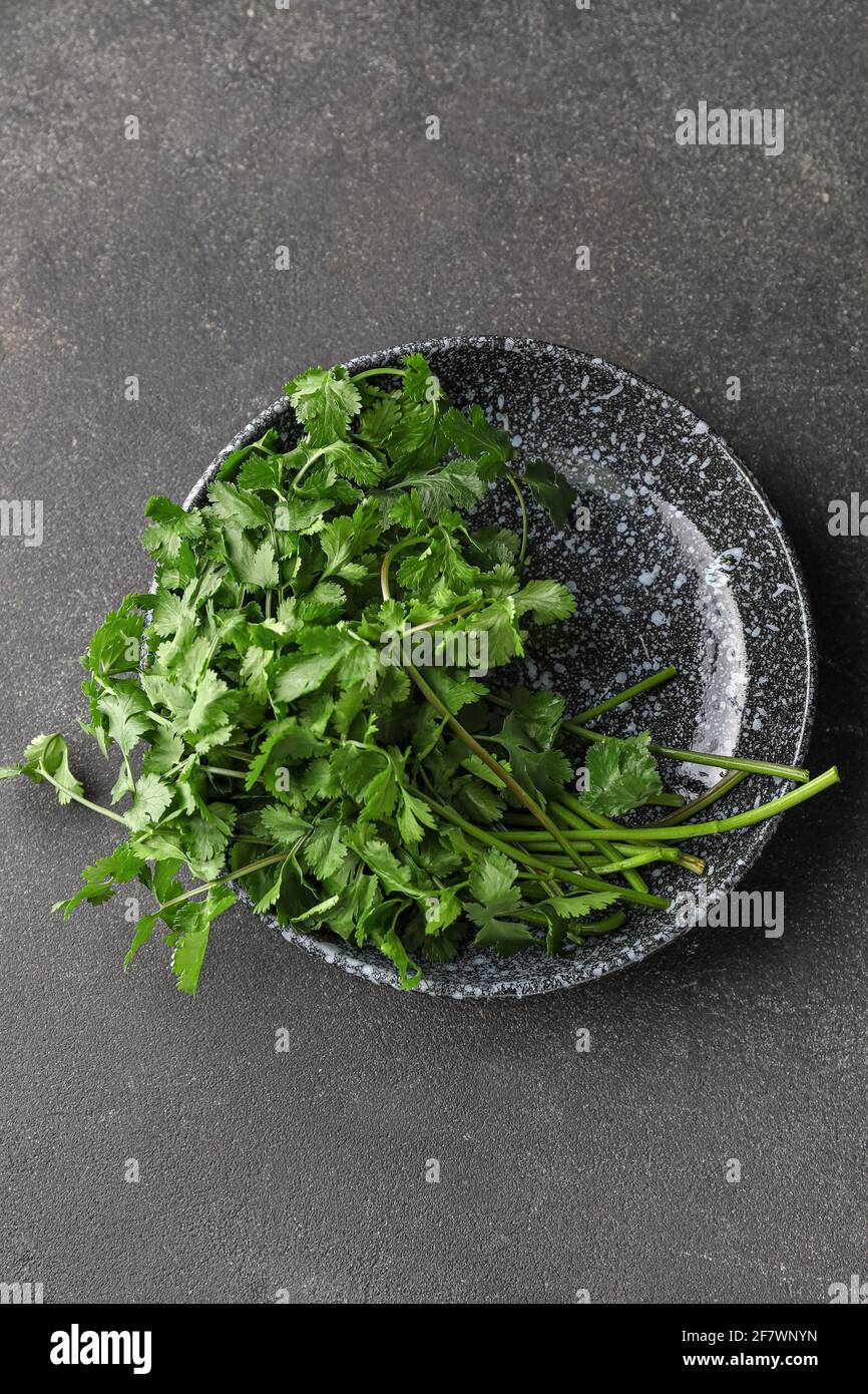 Plate with fresh cilantro on dark background Stock Photo - Alamy
