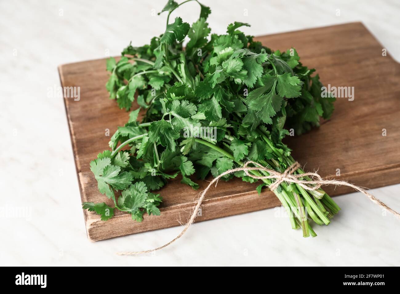 Board with fresh cilantro on white background Stock Photo - Alamy