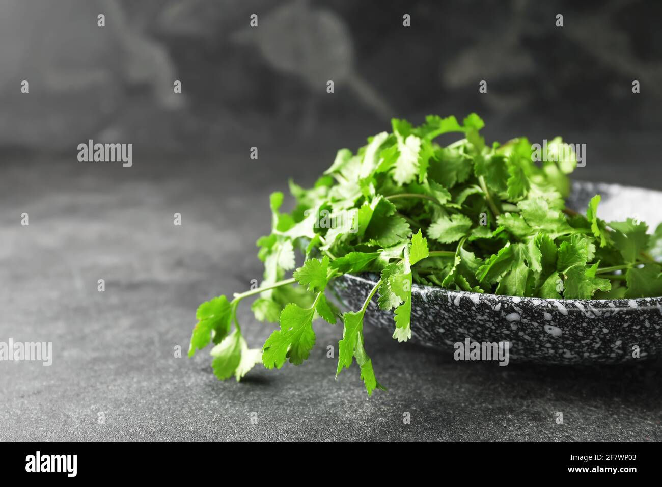 Plate with fresh cilantro on dark background Stock Photo - Alamy