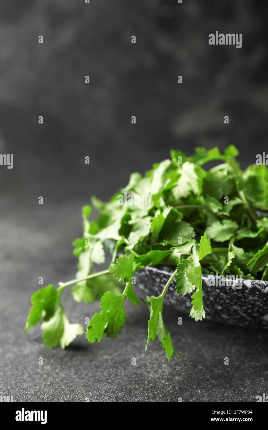 Plate with fresh cilantro on dark background Stock Photo - Alamy