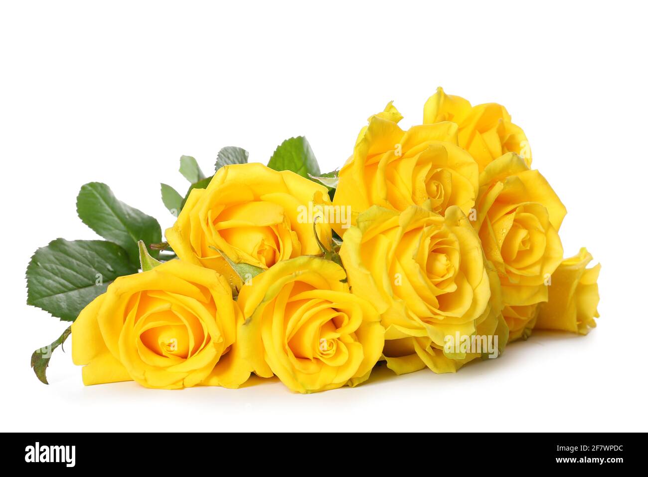Fresh yellow roses on white background Stock Photo - Alamy